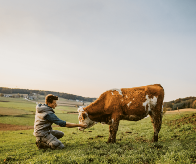 Sysco | Grossiste en viande et charcuterie